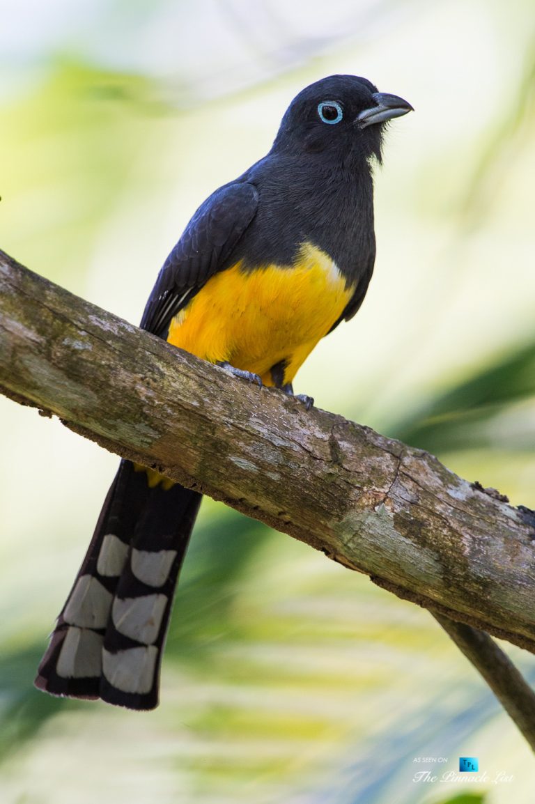 Tambor Tropical Beach Resort – Tambor, Puntarenas, Costa Rica ...