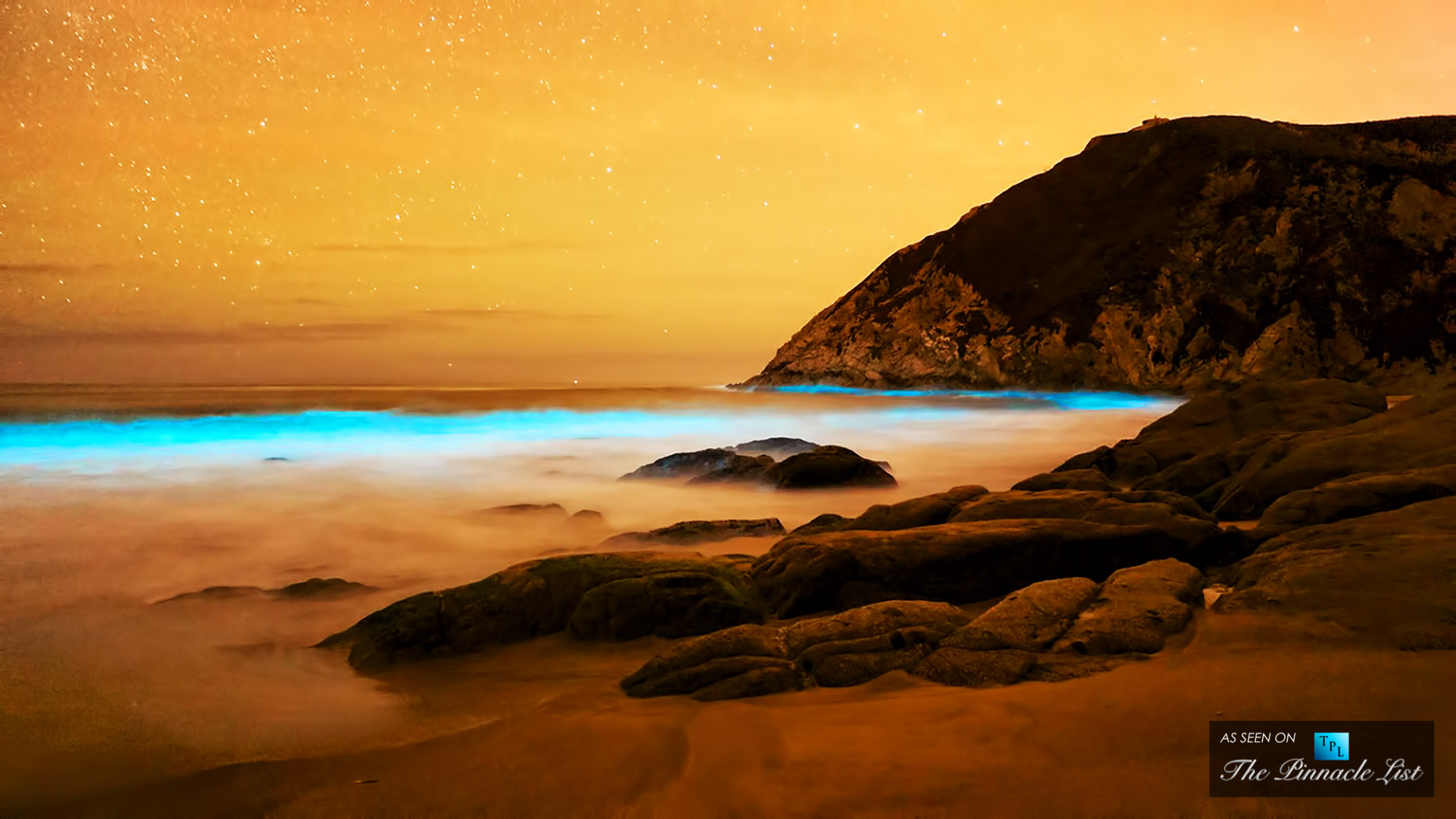 Vieques, Puerto Rico – An Exotic Caribbean Island Featuring the World’s ...