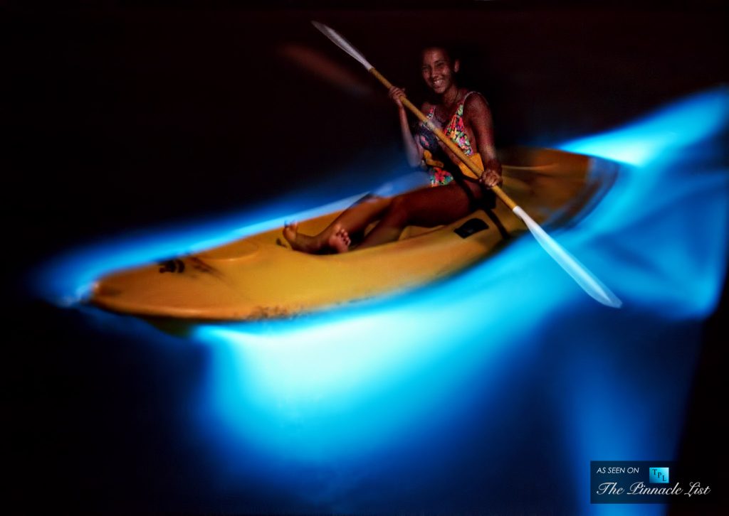 Vieques, Puerto Rico – An Exotic Caribbean Island Featuring the World’s ...