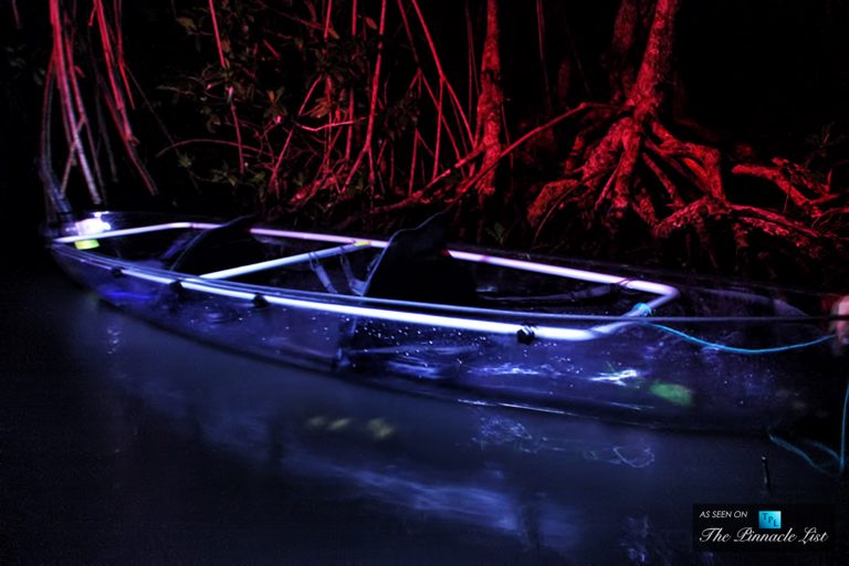 Vieques, Puerto Rico – An Exotic Caribbean Island Featuring the World’s ...