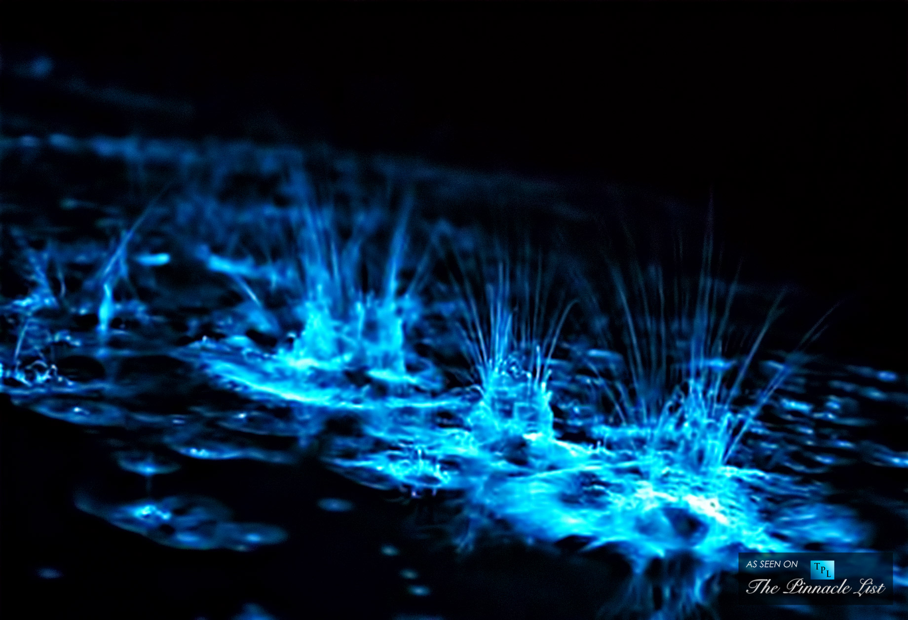 Vieques, Puerto Rico – An Exotic Caribbean Island Featuring the World’s ...