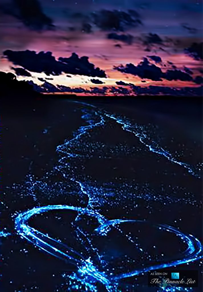 Vieques, Puerto Rico – An Exotic Caribbean Island Featuring the World’s ...