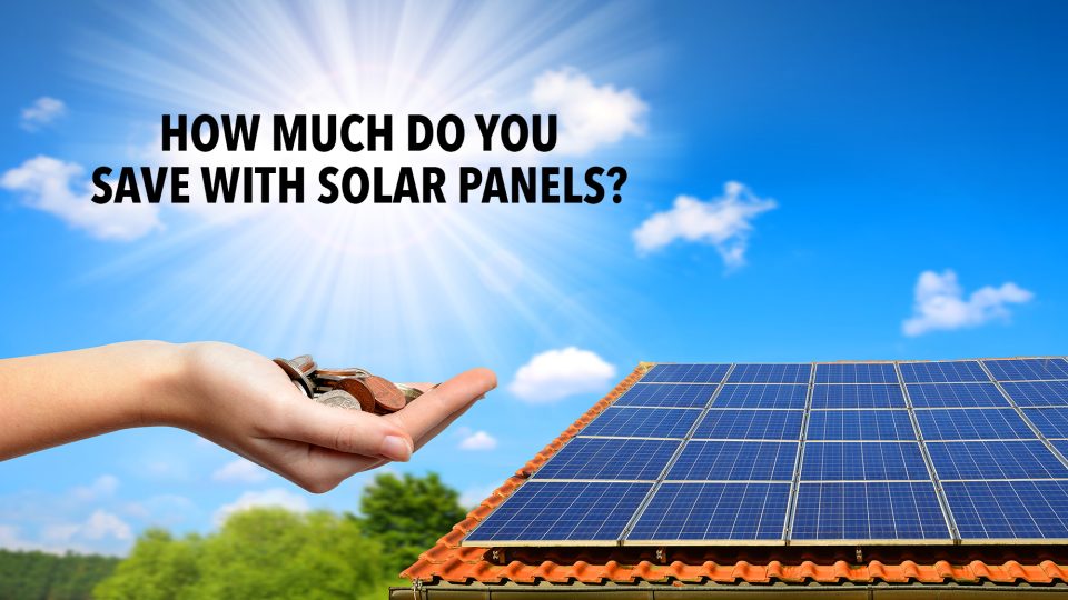 How Much Do You Save With Solar Panels? A Simple Guide – The Pinnacle List