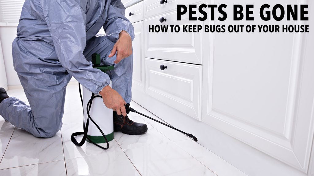 Pests Be Gone – How to Keep Bugs Out of Your House – The Pinnacle List