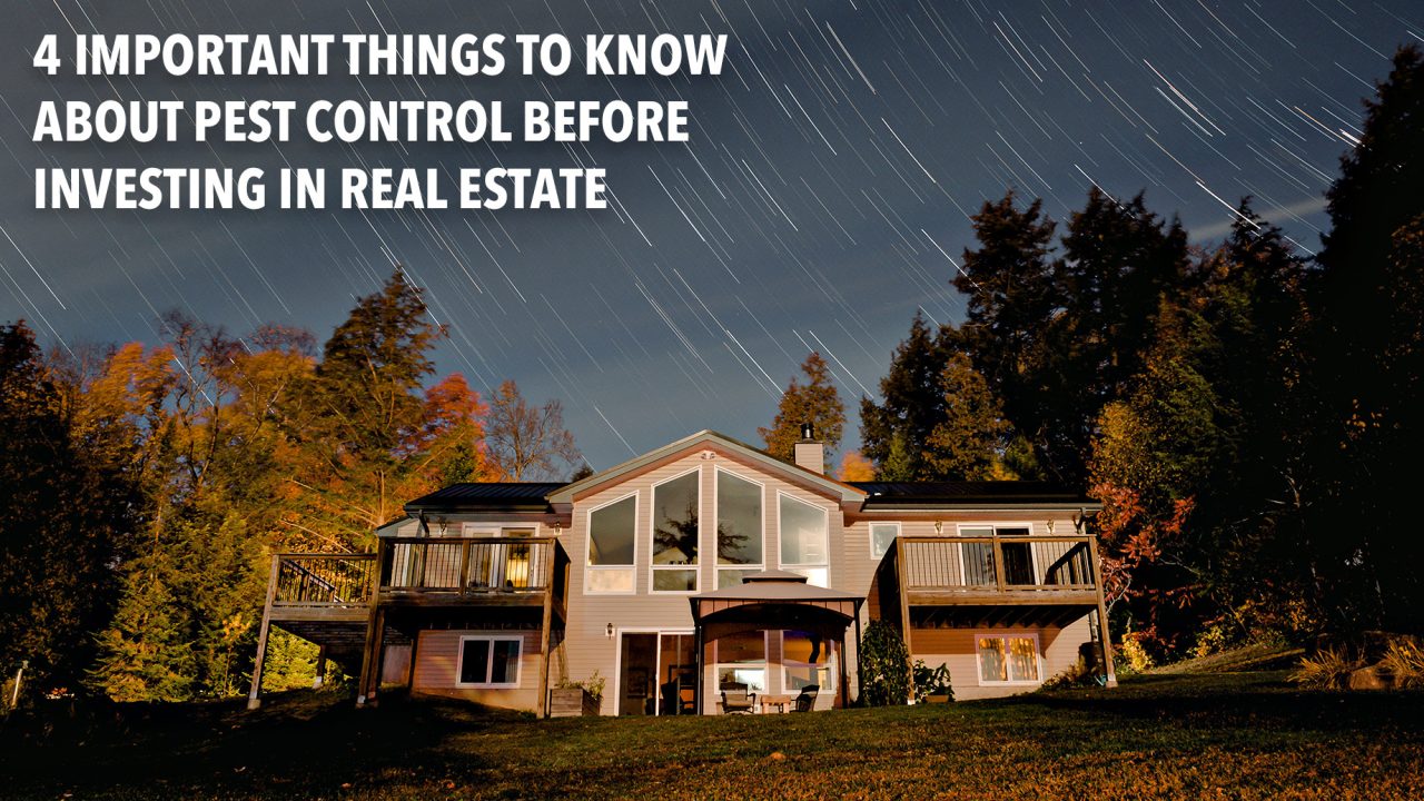 4 Important Things to Know About Pest Control Before Investing in Real ...