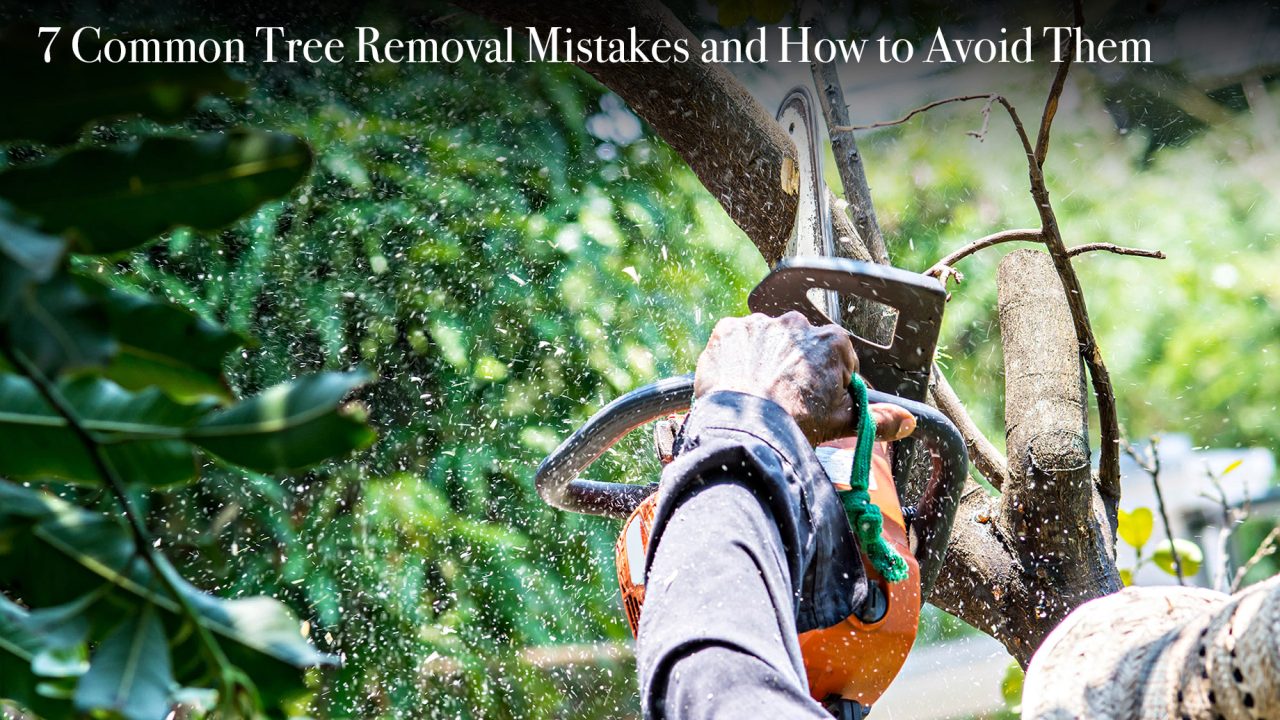 7 Common Tree Removal Mistakes and How to Avoid Them – The Pinnacle List