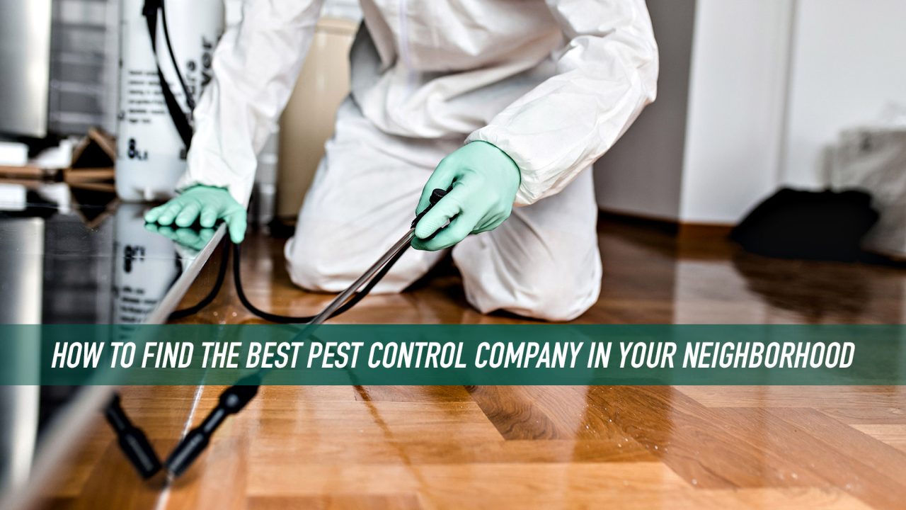 How to Find the Best Pest Control Company in Your Neighborhood – The ...