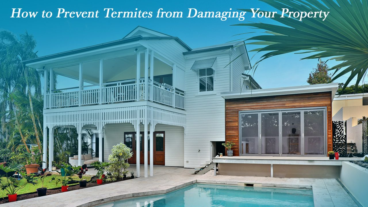 How to Prevent Termites from Damaging Your Property – The Pinnacle List