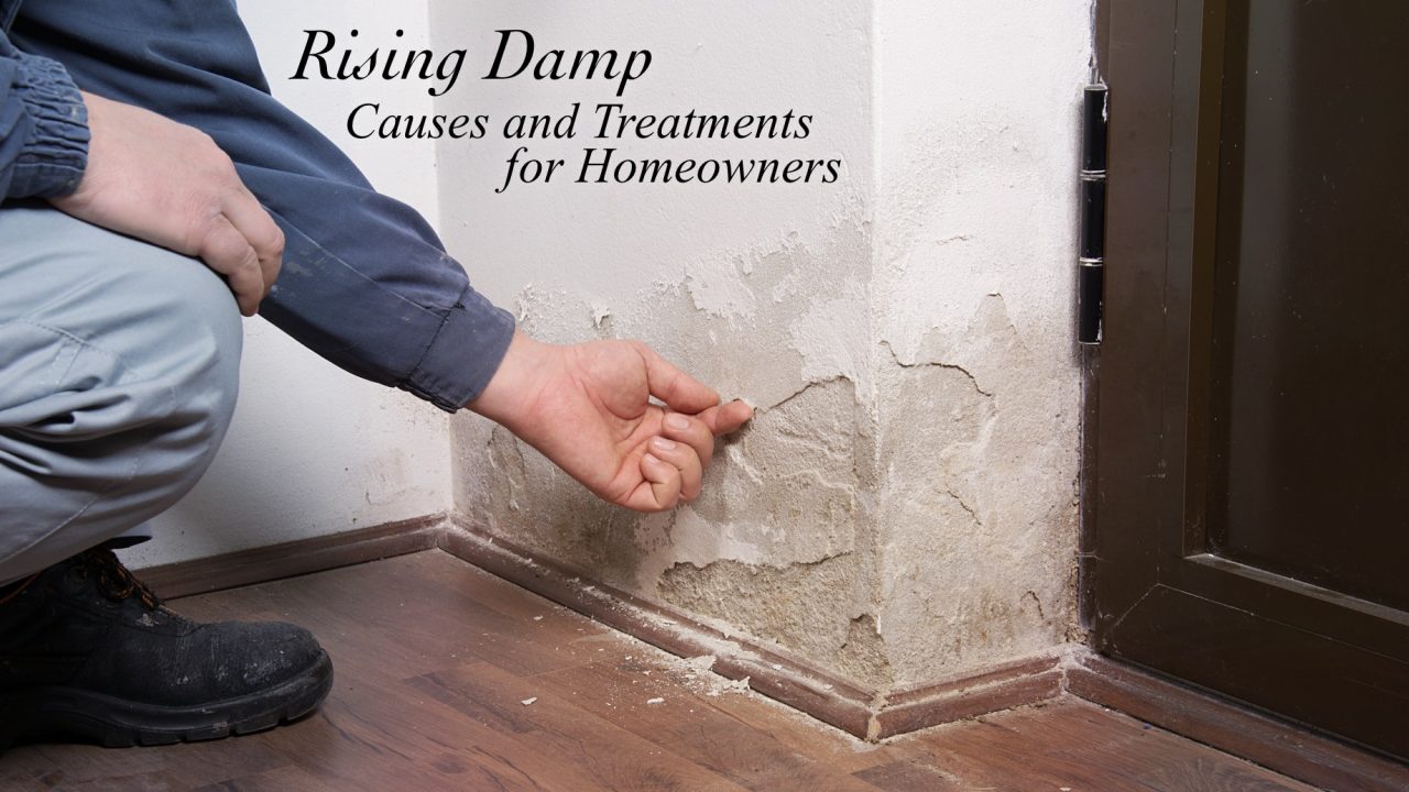 Rising Damp – Causes and Treatments for Homeowners – The Pinnacle List
