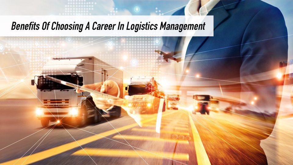Benefits Of Choosing A Career In Logistics Management – The Pinnacle List