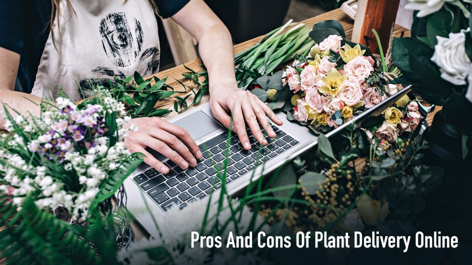 Pros And Cons Of Plant Delivery Online – The Pinnacle List
