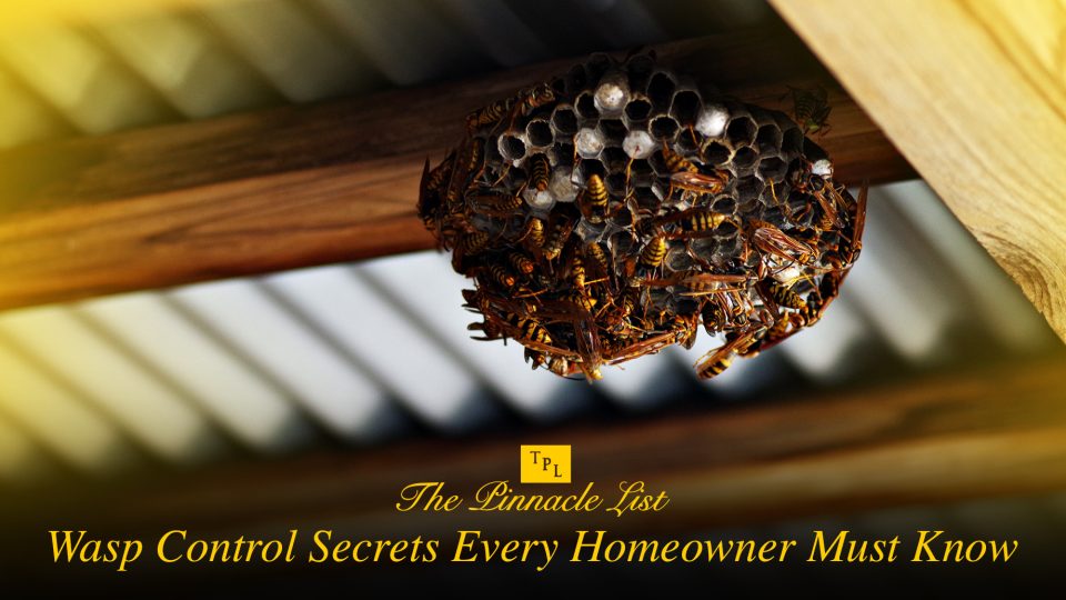 Wasp Control Secrets Every Homeowner Must Know – The Pinnacle List