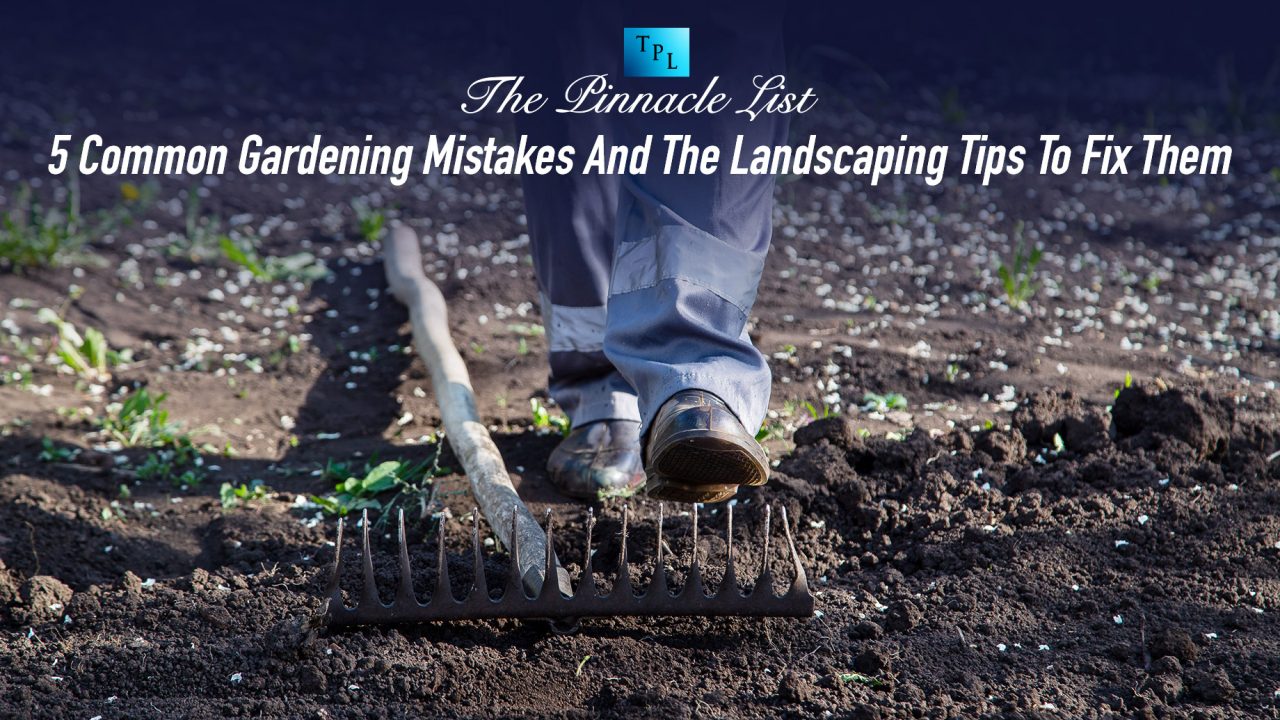 5 Common Gardening Mistakes And The Landscaping Tips To Fix Them – The Pinnacle List