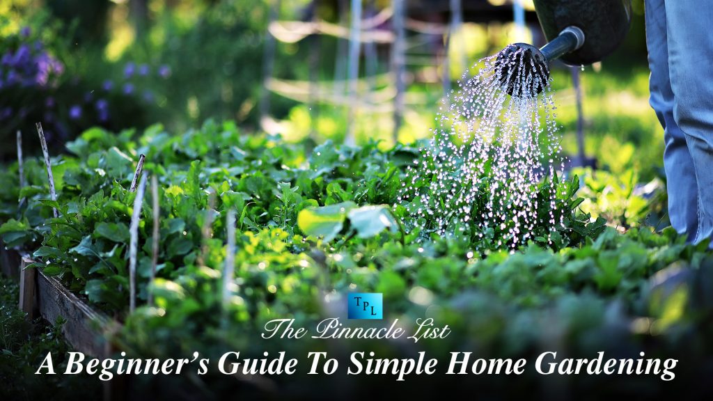 A Beginner’s Guide To Simple Home Gardening – The Pinnacle List