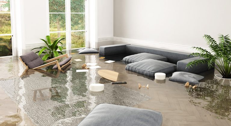 Flooded Living Room – The Pinnacle List
