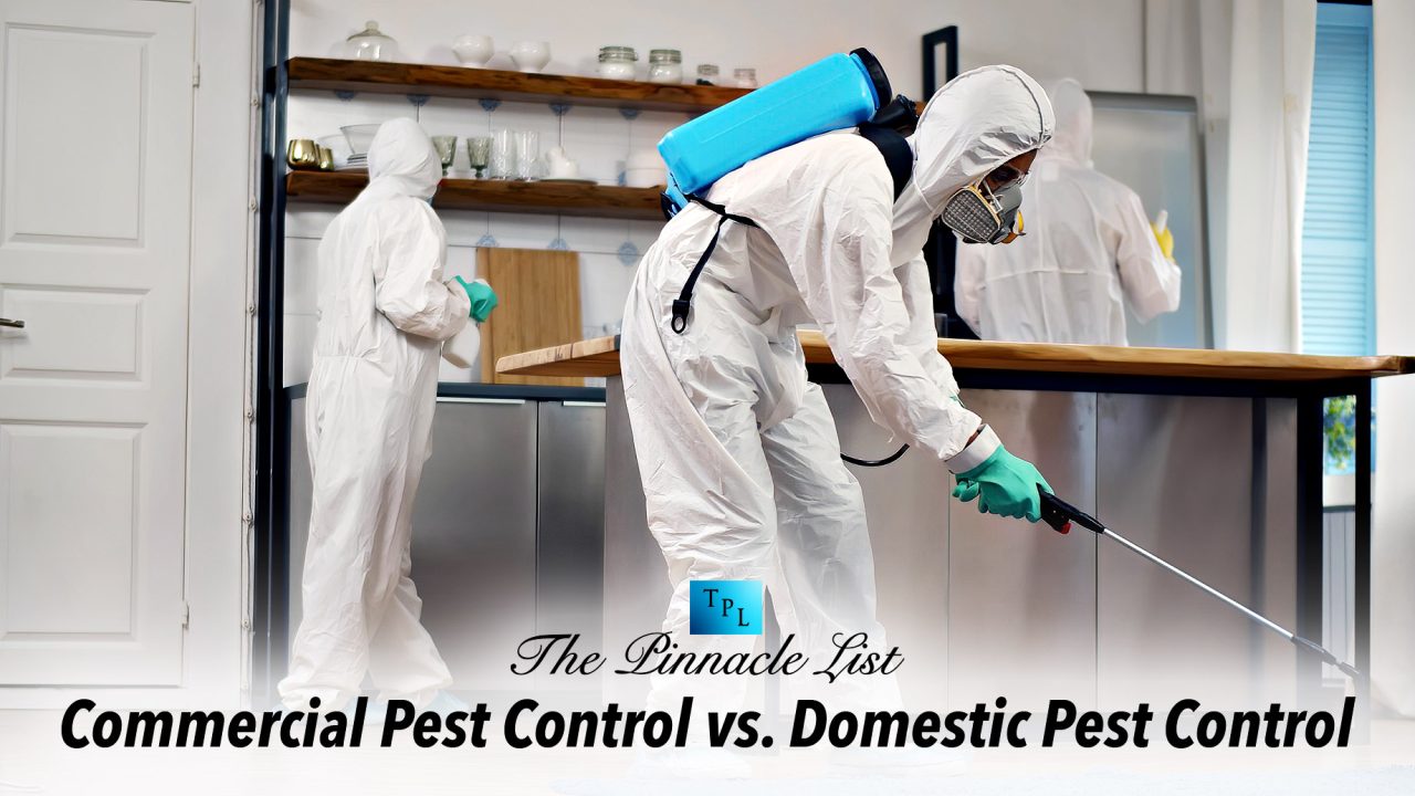 Commercial Pest Control vs. Domestic Pest Control: What’s The ...