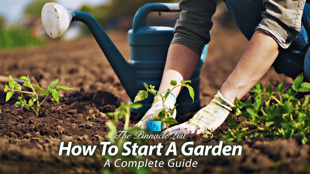 How To Start A Garden: A Complete Guide – The Pinnacle List