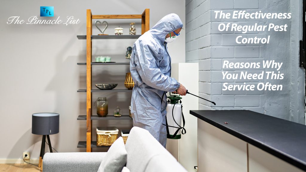 The Effectiveness Of Regular Pest Control: Reasons Why You Need This ...