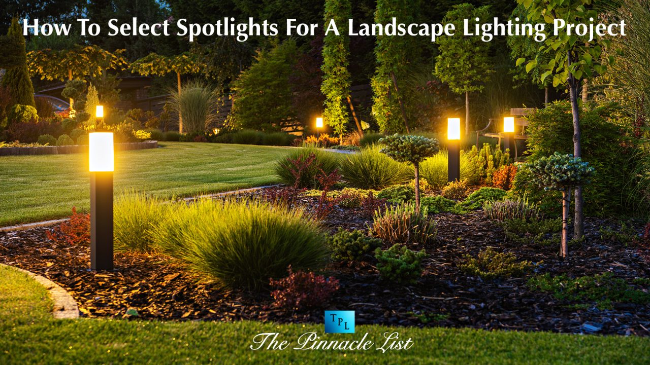 How To Select Spotlights For A Landscape Lighting Project – The ...