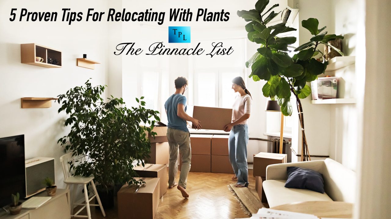 5 Proven Tips For Relocating With Plants – The Pinnacle List