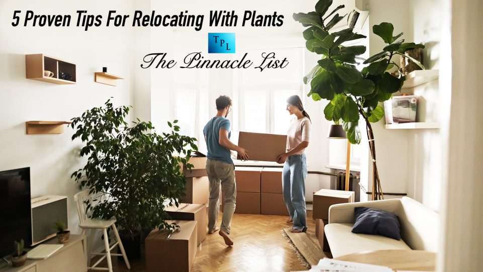 5 Proven Tips For Relocating With Plants – The Pinnacle List