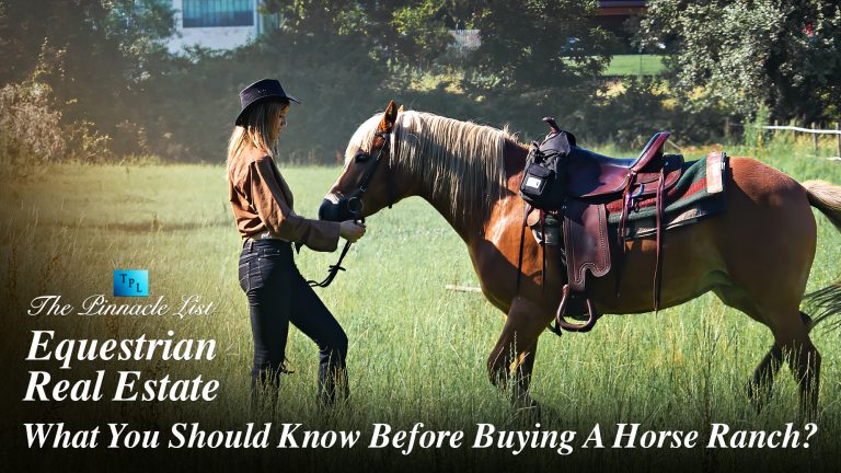 Equestrian Real Estate: What You Should Know Before Buying A Horse ...