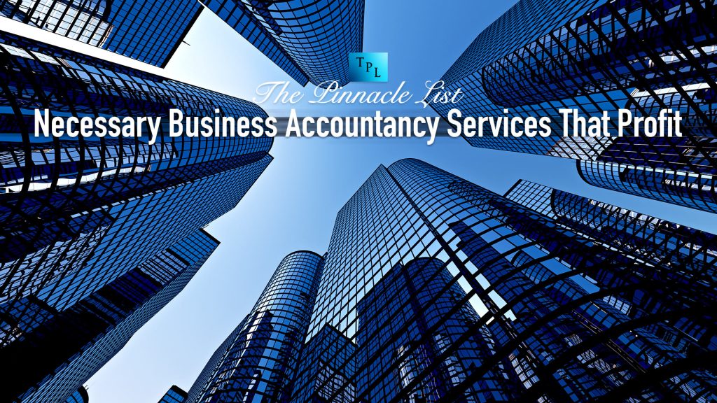 Necessary Business Accountancy Services That Profit – The Pinnacle List