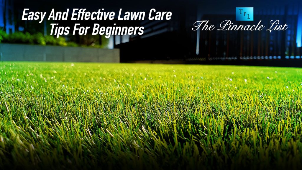 Easy And Effective Lawn Care Tips For Beginners – The Pinnacle List