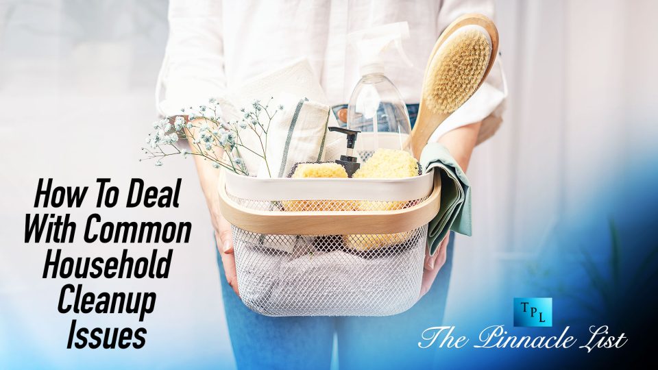 Cleaning Woes: How To Deal With Common Household Cleanup Issues – The ...