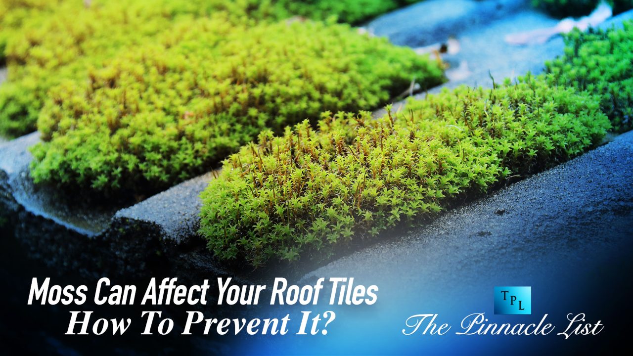 Moss Can Largely Affect Your Roof Tiles: How To Prevent It? – The ...
