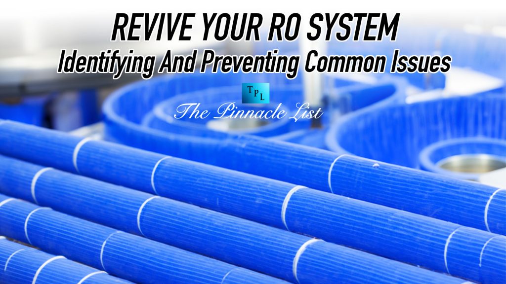 Revive Your RO System: Identifying And Preventing Common Issues – The ...