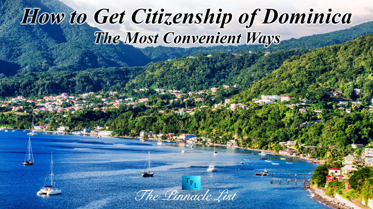 How to Get Citizenship of Dominica: The Most Convenient Ways – The ...
