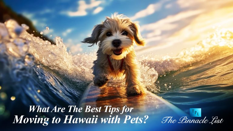 What Are The Best Tips for Moving to Hawaii with Pets? – The Pinnacle List