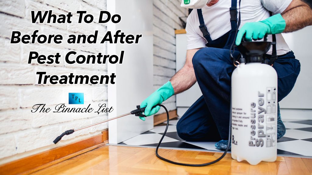 What To Do Before and After Pest Control Treatment – The Pinnacle List