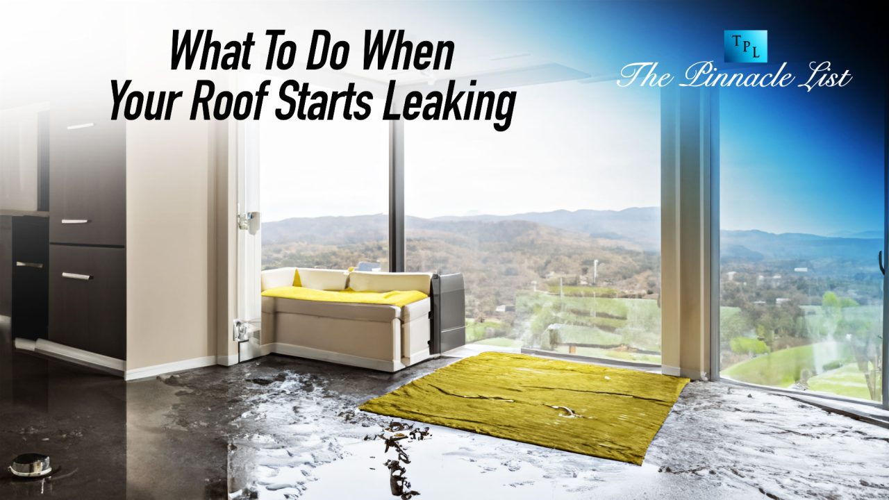 What To Do When Your Roof Starts Leaking – The Pinnacle List