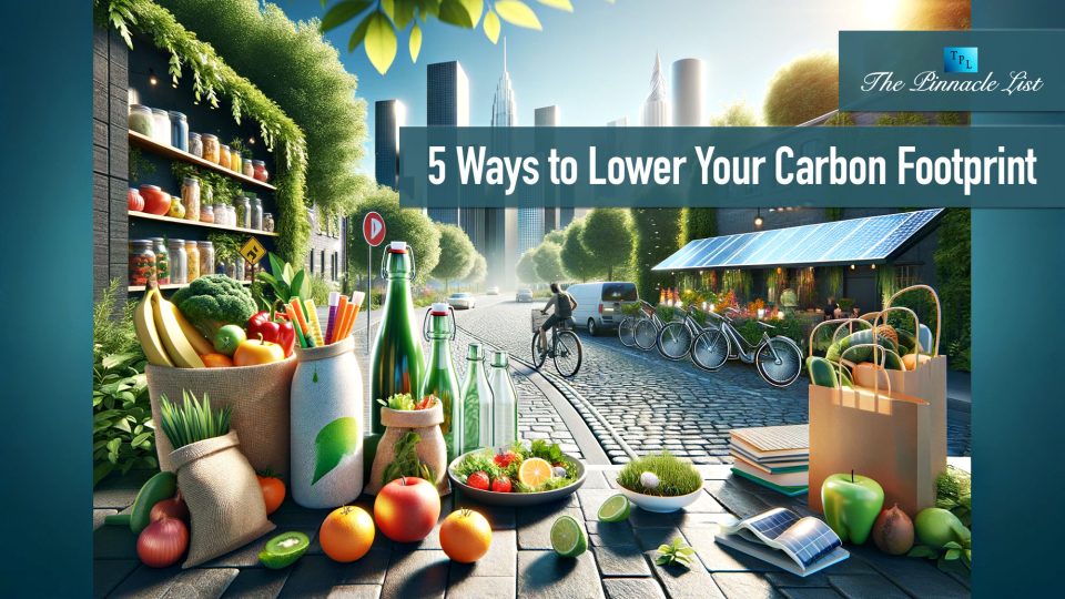 5 Ways to Lower Your Carbon Footprint – The Pinnacle List