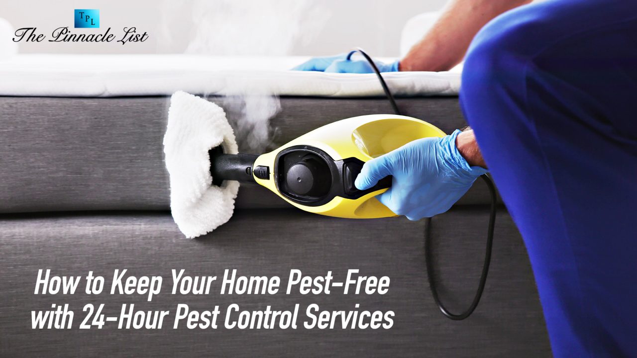 How to Keep Your Home Pest-Free with 24-Hour Pest Control Services ...