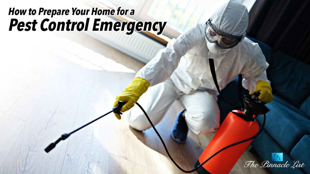 How to Prepare Your Home for a Pest Control Emergency – The Pinnacle List