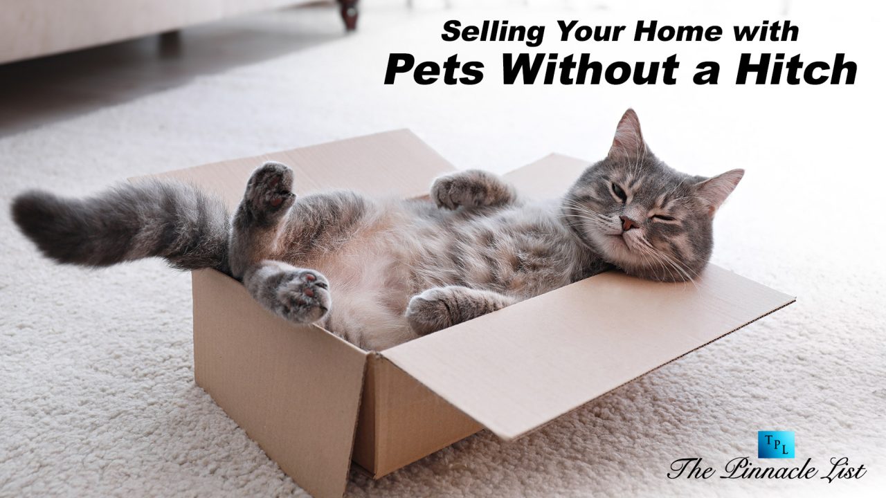 Selling Your Home with Pets Without a Hitch – The Pinnacle List