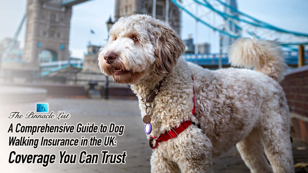 A Comprehensive Guide to Dog Walking Insurance in the UK: Coverage You ...