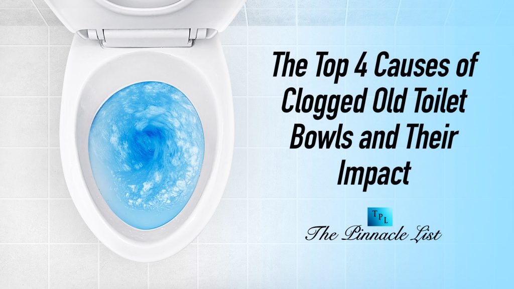 The Top 4 Causes of Clogged Old Toilet Bowls and Their Impact – The ...