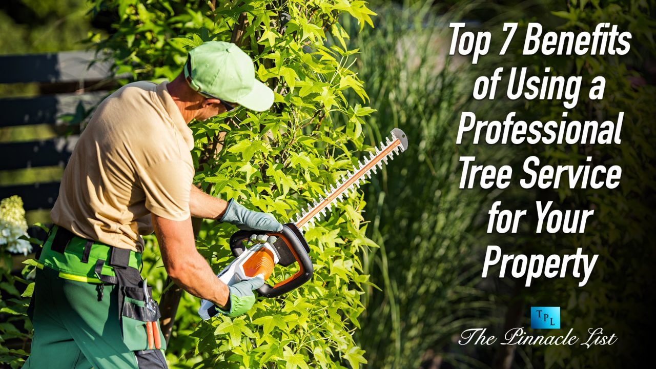 Top 7 Benefits of Using a Professional Tree Service for Your Property ...