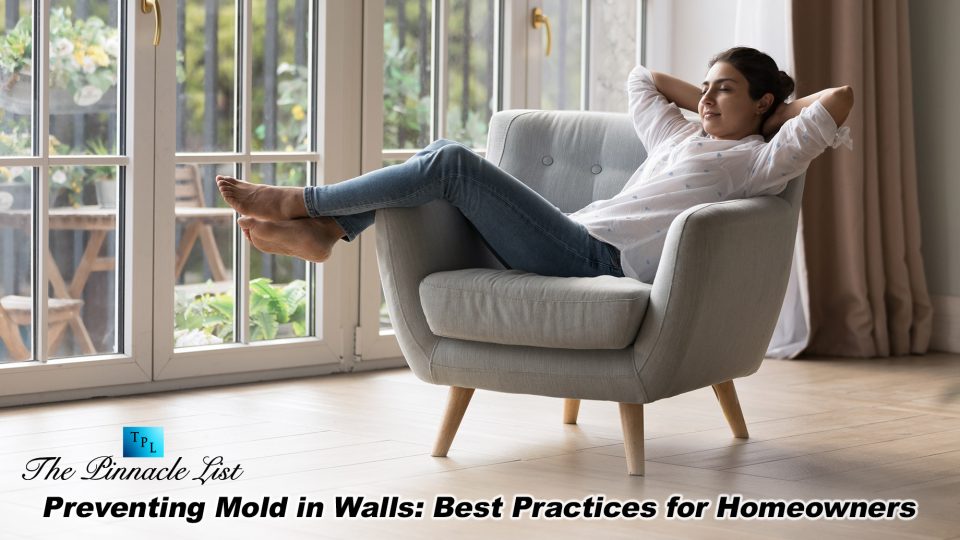 Preventing Mold in Walls: Best Practices for Homeowners – The Pinnacle List