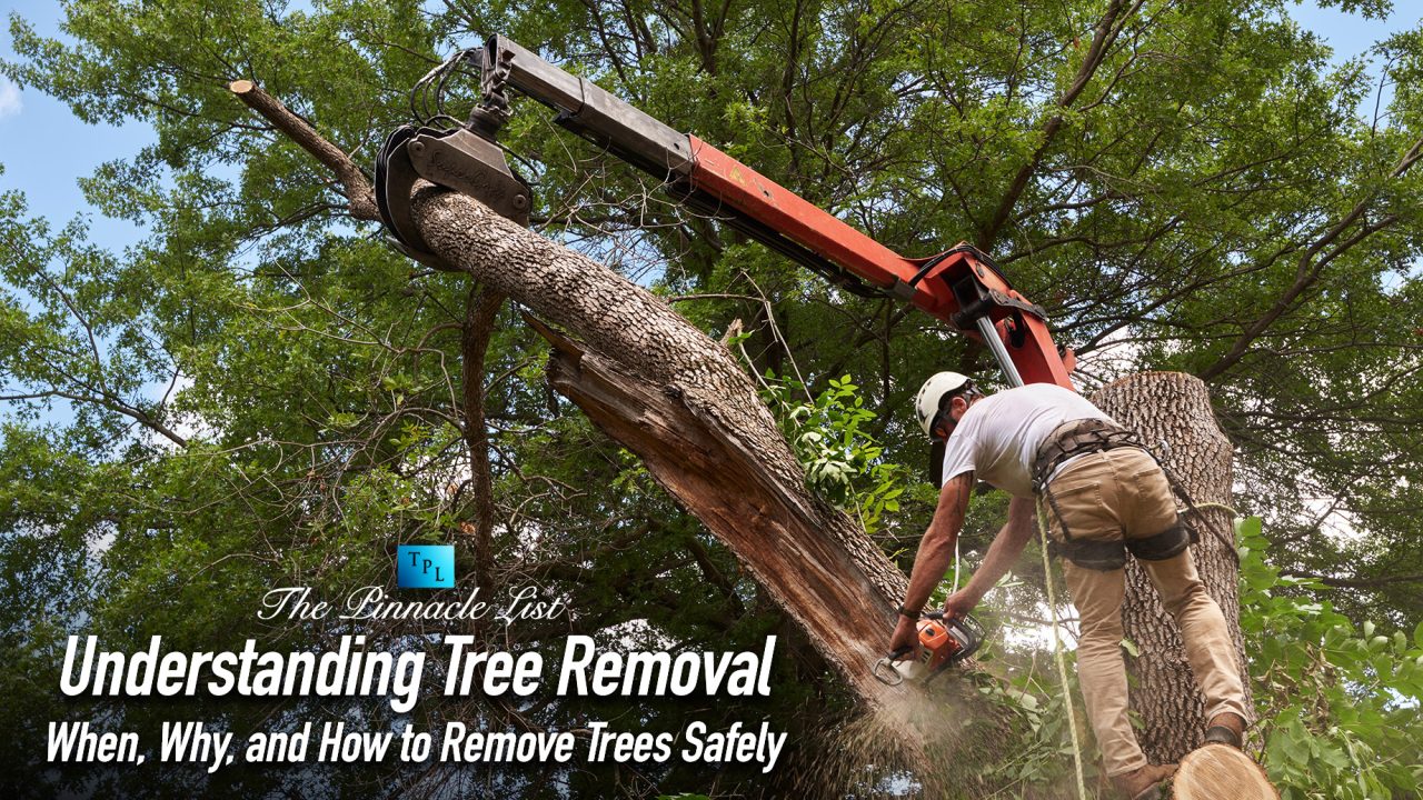Understanding Tree Removal: When, Why, and How to Remove Trees Safely ...