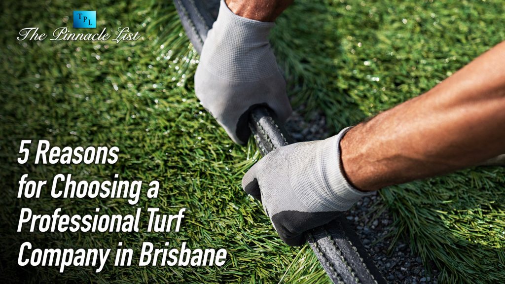 5 Reasons for Choosing a Professional Turf Company in Brisbane – The ...