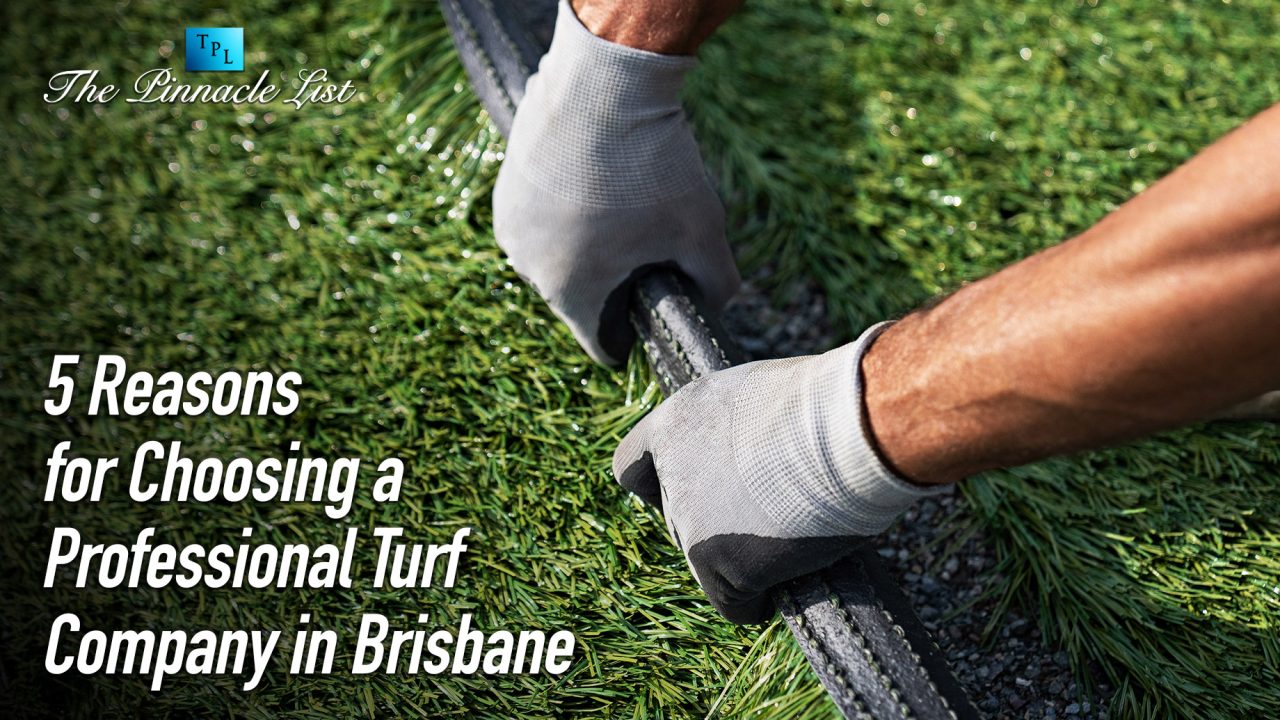 5 Reasons for Choosing a Professional Turf Company in Brisbane – The ...
