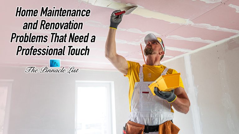 Home Maintenance and Renovation Problems That Need a Professional Touch ...