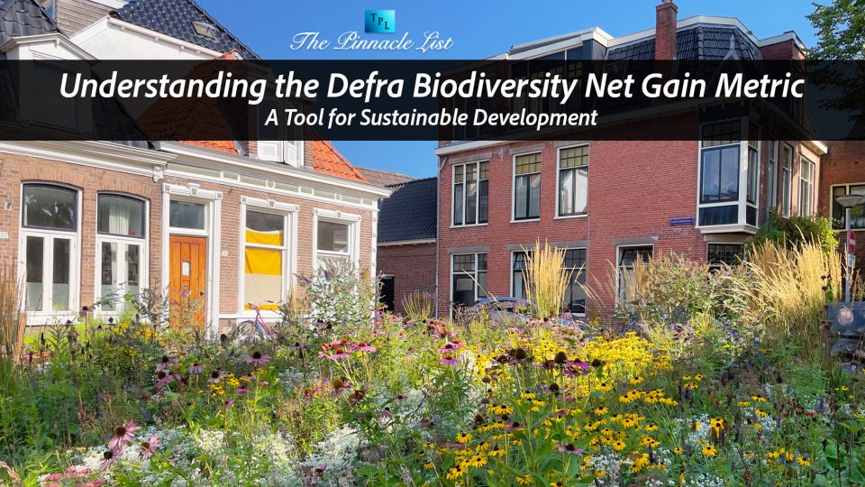 Understanding the Defra Biodiversity Net Gain Metric: A Tool for ...