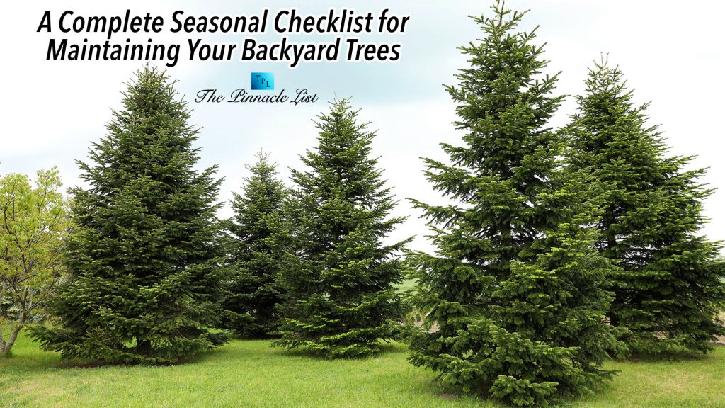 A Complete Seasonal Checklist for Maintaining Your Backyard Trees – The ...
