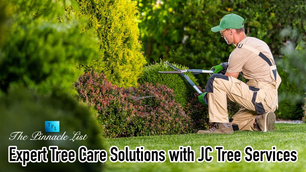 Expert Tree Care Solutions with JC Tree Services – The Pinnacle List